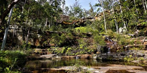Home - Australian Trout Foundation