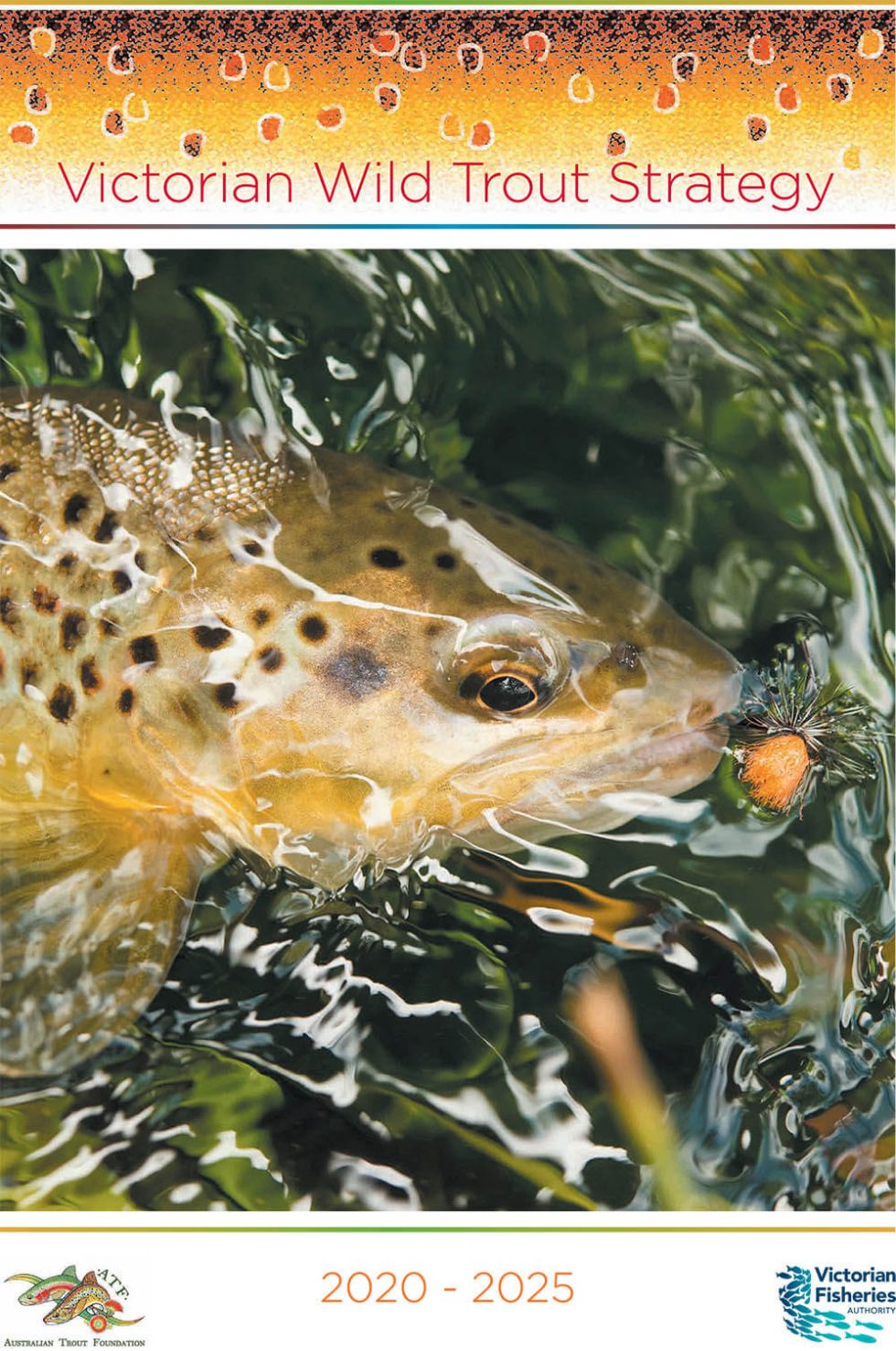 Wild Trout Strategy - Australian Trout Foundation