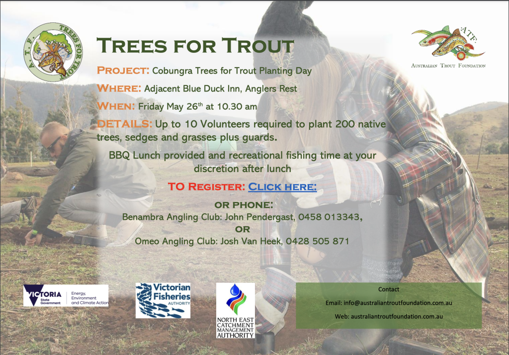 Cobungra River Trees for Trout - Australian Trout Foundation