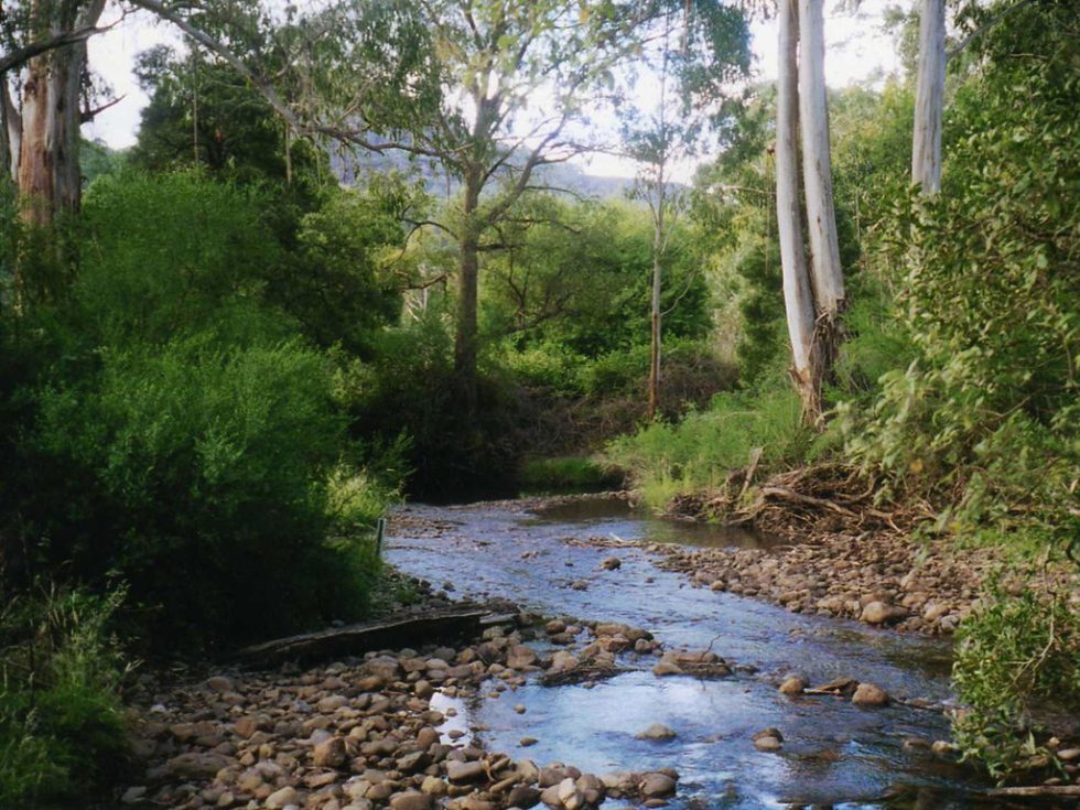 Rose River - Australian Trout Foundation